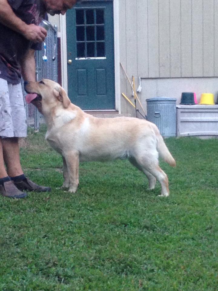 Miles | Integrity Farm